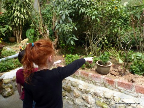 19 Incredible Things To Do In Cameron Highlands, Malaysia🥰 - Malaysia ...