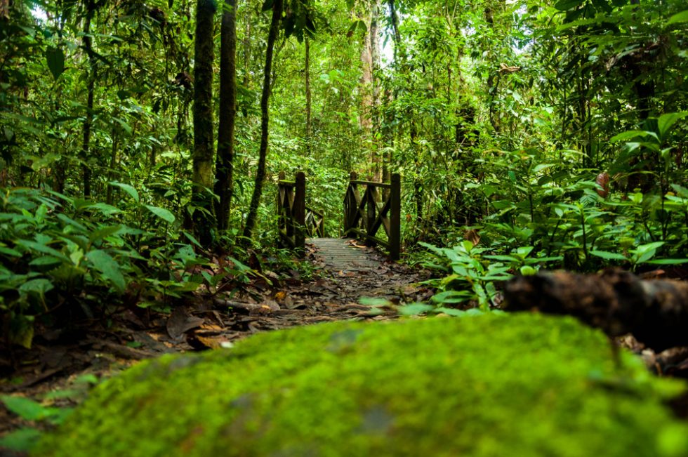 13 Top Things To Do In Tawau, Sabah - Malaysia Uncovered