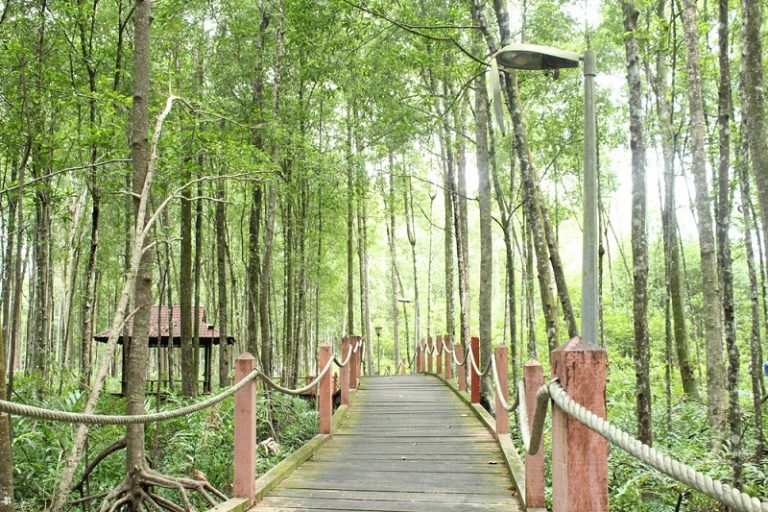 17 Fun Things To Do In Taiping, Perak - Malaysia Uncovered