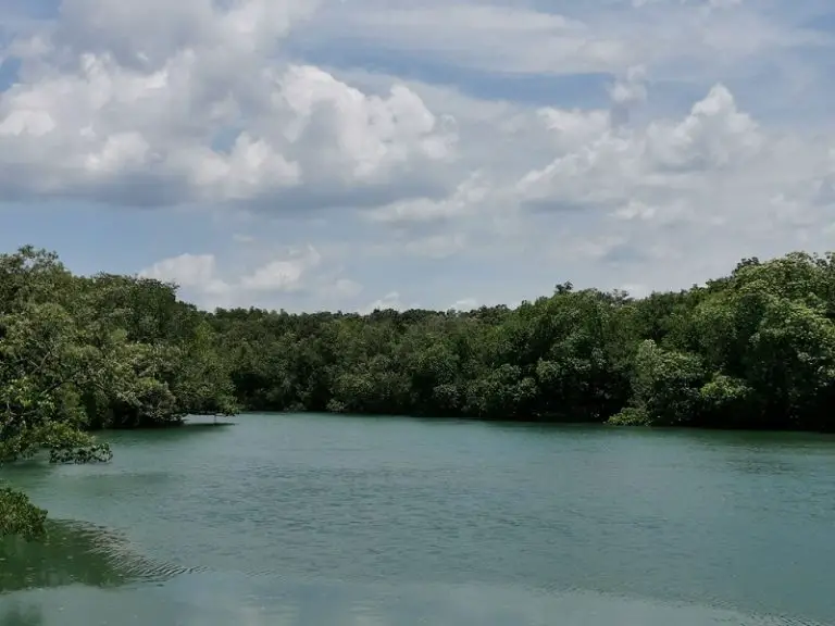 10 Top Things To Do In Cherating 🥰 - Malaysia Uncovered