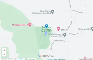 Sandakan Rainforest Discovery Centre: Everything You Need To Know ...