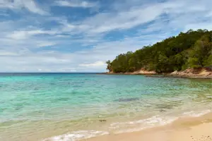 Top 10 Best Kota Kinabalu Tour Options - Fireflies, Night Cruise And ...