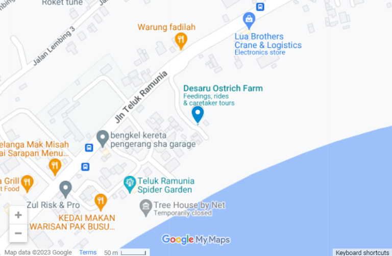 Desaru Ostrich Farm: Everything You Need To Know - Malaysia Uncovered