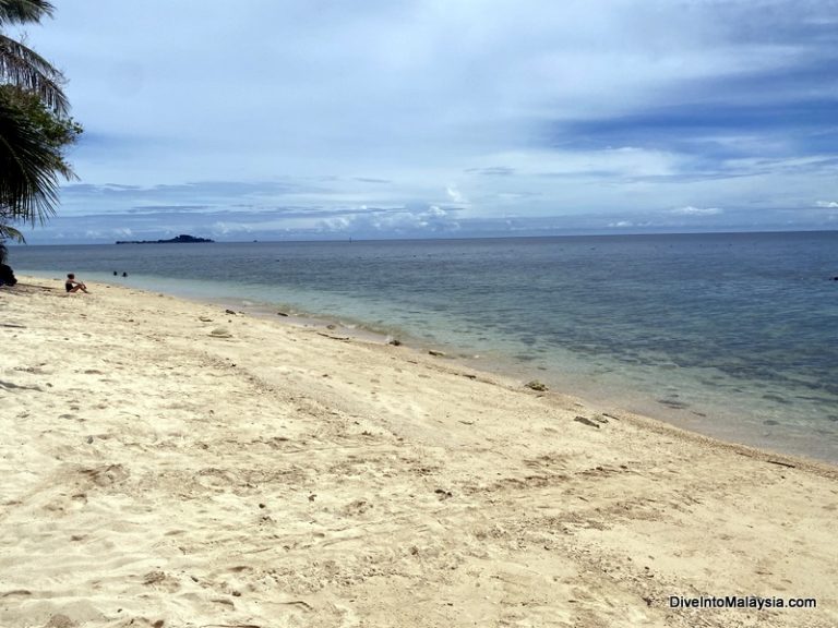 Selingan Turtle Island: Everything You Need To Know - Malaysia Uncovered