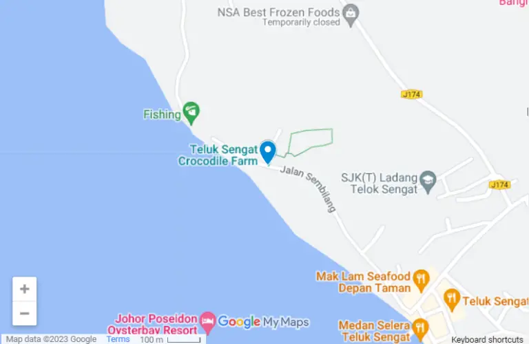 Teluk Sengat Crocodile Farm: Everything You Need To Know - Malaysia ...