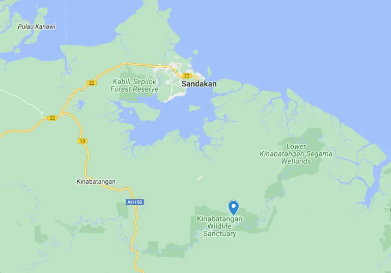 Kinabatangan River: Everything You Need To Know - Malaysia Uncovered