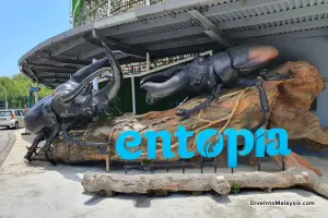 Entopia Penang: Everything You Need To Know - Malaysia Uncovered