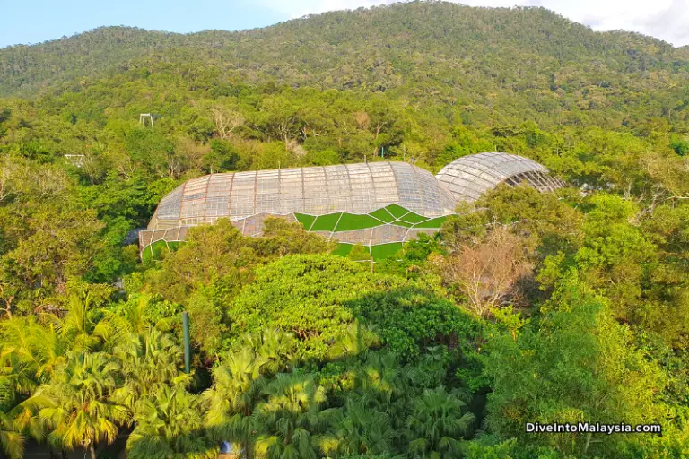 Entopia Penang: Everything You Need To Know - Malaysia Uncovered