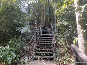 Taman Negara Canopy Walk: Everything You Need To Know - Malaysia Uncovered