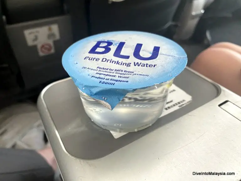 Scoot Business Class Review ️: ScootPlus - Malaysia Uncovered