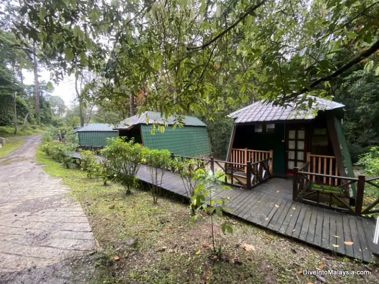 Tabin Wildlife Reserve And Resort: Everything You Need To Know ...
