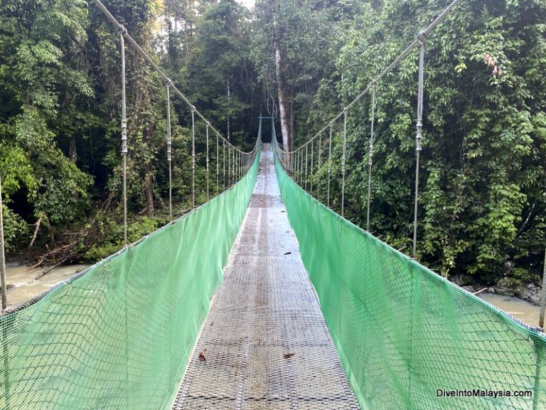 Tabin Wildlife Reserve And Resort: Everything You Need To Know ...