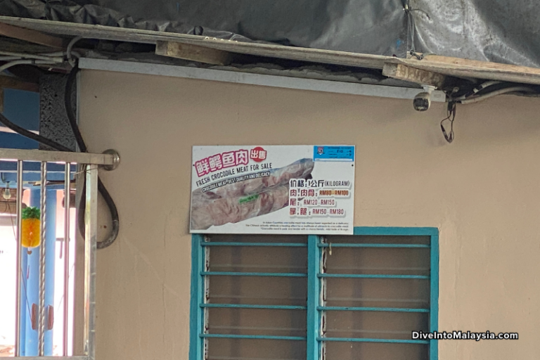Teluk Sengat Crocodile Farm: Everything You Need To Know - Malaysia ...