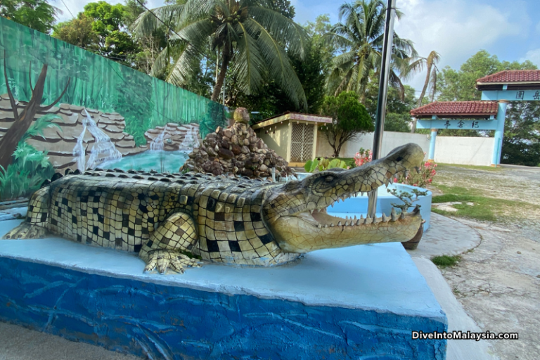 Teluk Sengat Crocodile Farm: Everything You Need To Know - Malaysia ...