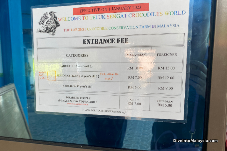 Teluk Sengat Crocodile Farm: Everything You Need To Know - Malaysia ...