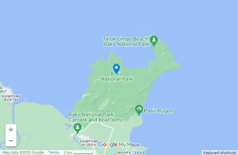 Bako National Park: Everything You Need To Know - Malaysia Uncovered