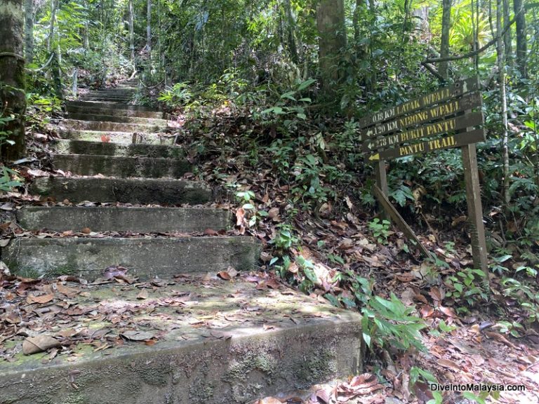 Lambir Hills National Park: Everything You Need To Know - Malaysia ...