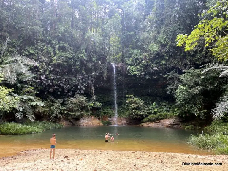 Lambir Hills National Park: Everything You Need To Know - Malaysia ...