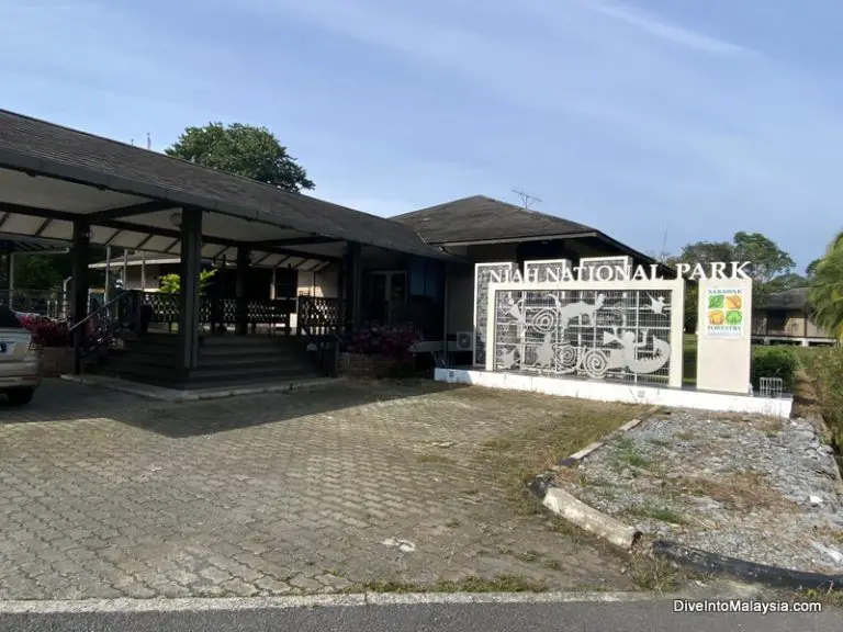 Niah Caves: Everything You Need To Know About Niah National Park ...