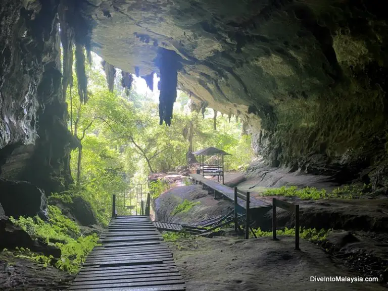 Niah Caves: Everything You Need To Know About Niah National Park ...