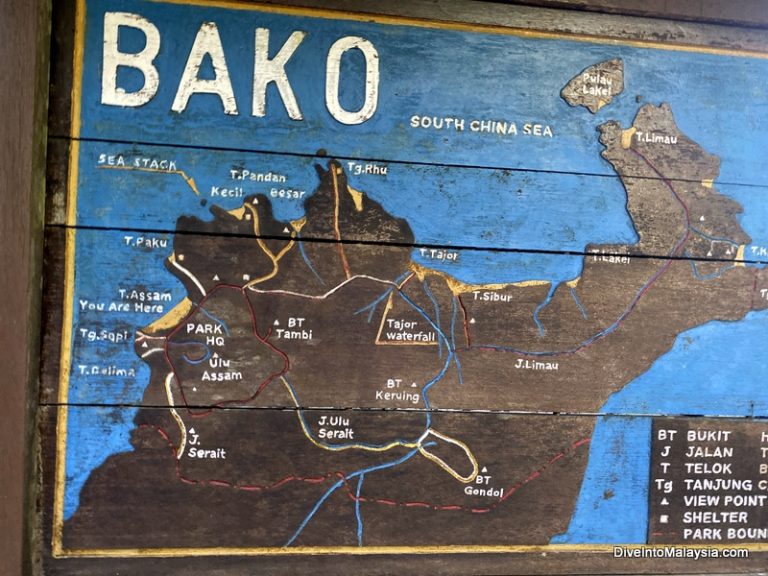 Bako National Park: Everything You Need To Know - Malaysia Uncovered