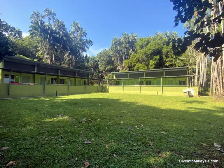 Bako National Park: Everything You Need To Know - Malaysia Uncovered