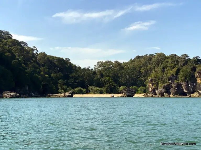 Bako National Park: Everything You Need To Know - Malaysia Uncovered