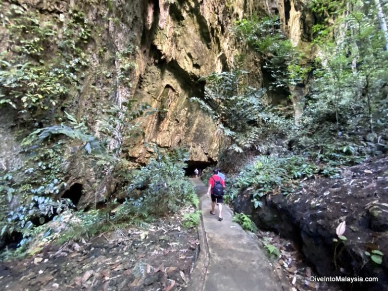 Mulu Caves: Everything You Need To Know 🥰 - Malaysia Uncovered