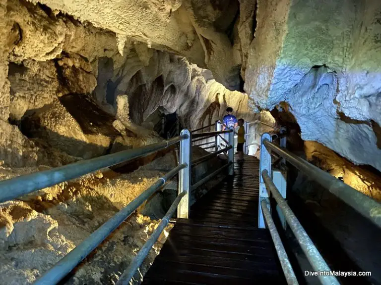 Mulu Caves: Everything You Need To Know 🥰 - Malaysia Uncovered