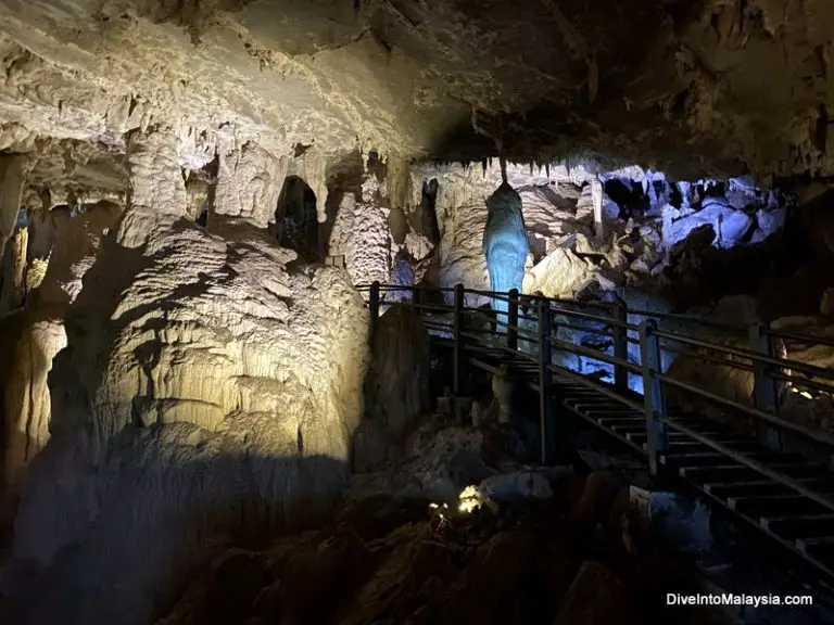 Mulu Caves: Everything You Need To Know 🥰 - Malaysia Uncovered