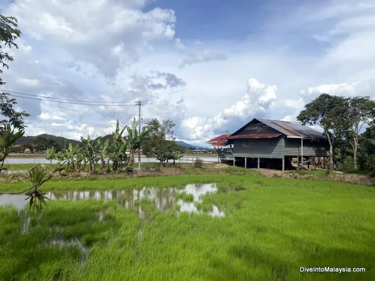 Bario Sarawak - Everything You Need To Know - Malaysia Uncovered